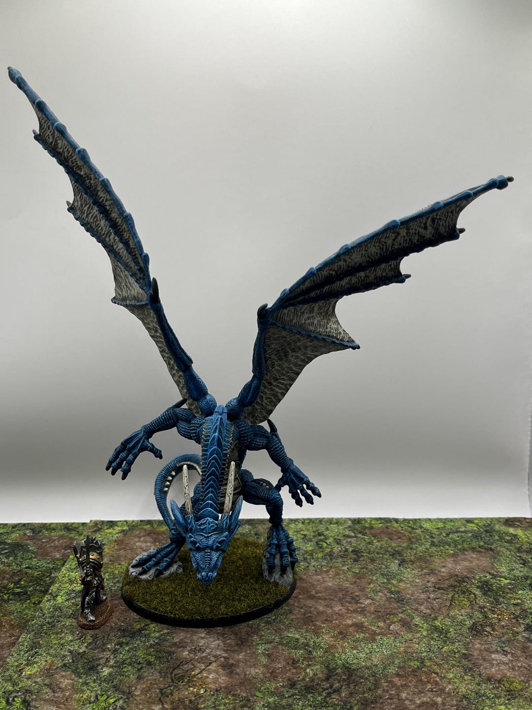 Hand Painted Gauth the Great (blue Dragon) Miniature - Dnd, D&D ...