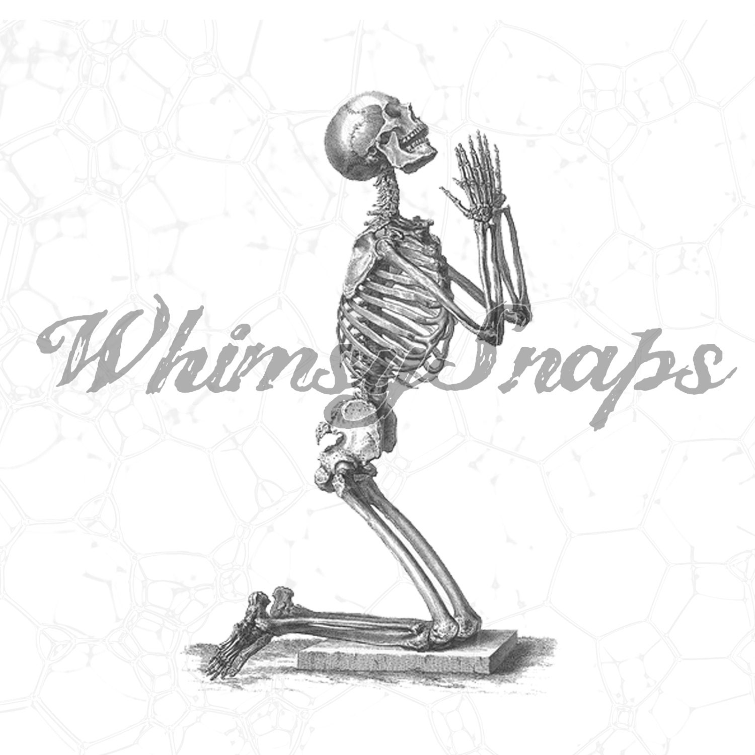 Detailed Praying Skeleton Vintage Illustration DIGITAL IMAGE | Etsy