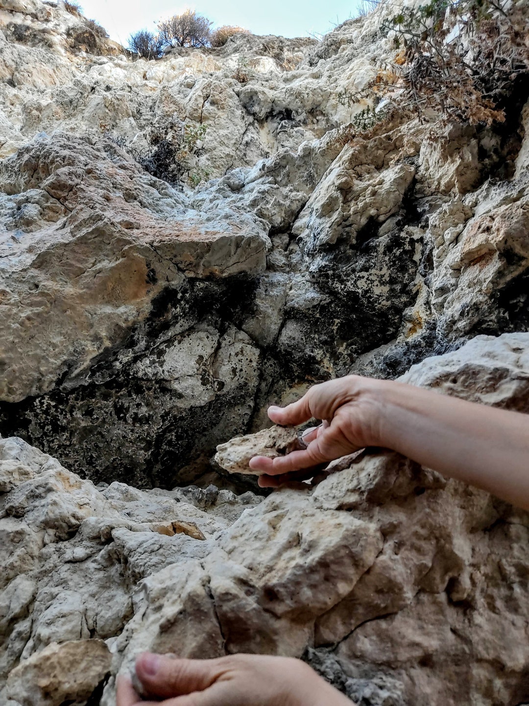 Stone Gathered at the Golgotha Calvary Crucifixion Site Area Jerusalem ...