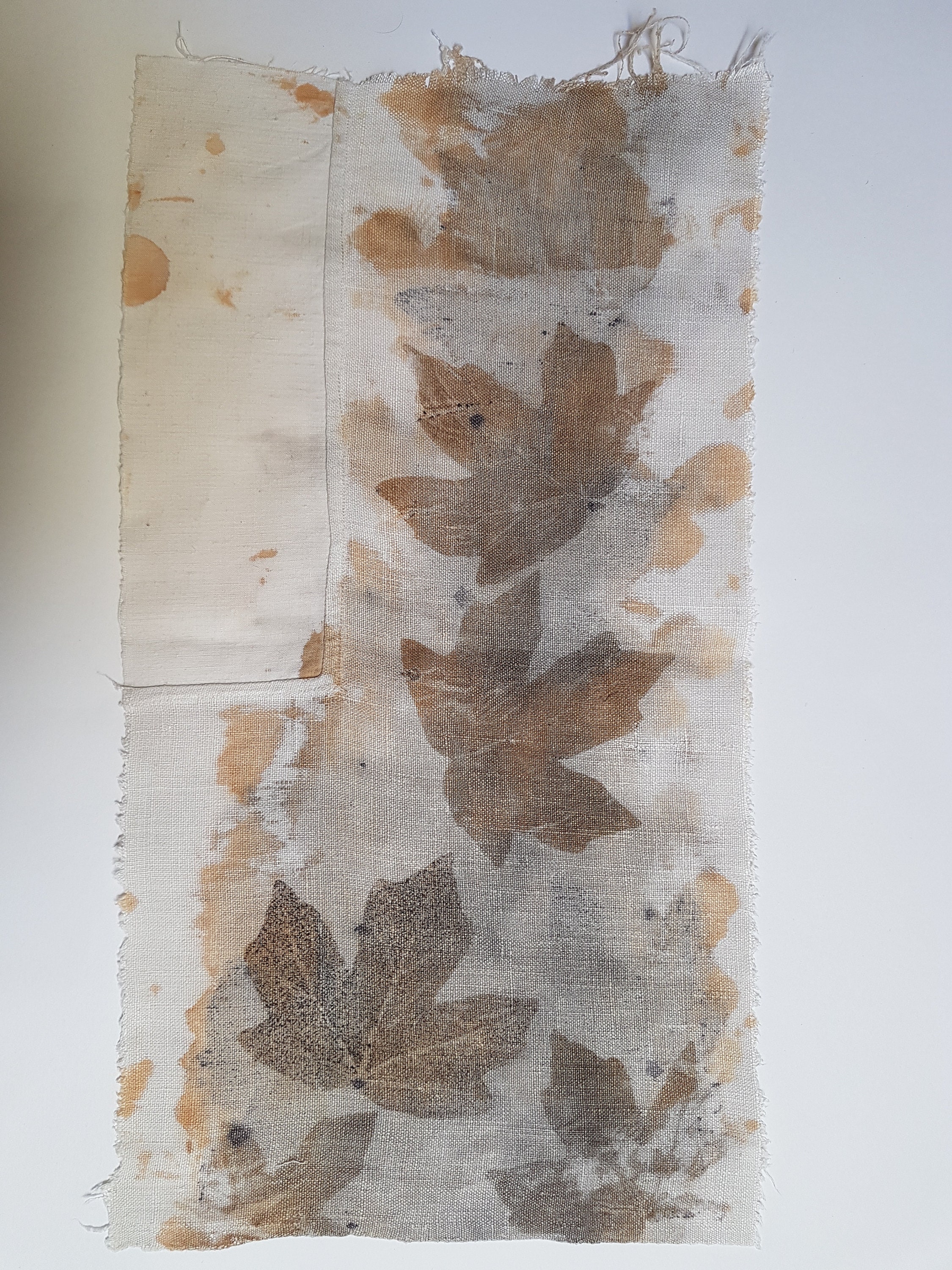 40 x 22 cm rust dyed cloth botanical nature leaf plant slow | Etsy