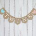 Twins Banner Twins Bunting Twins Baby Shower | Etsy