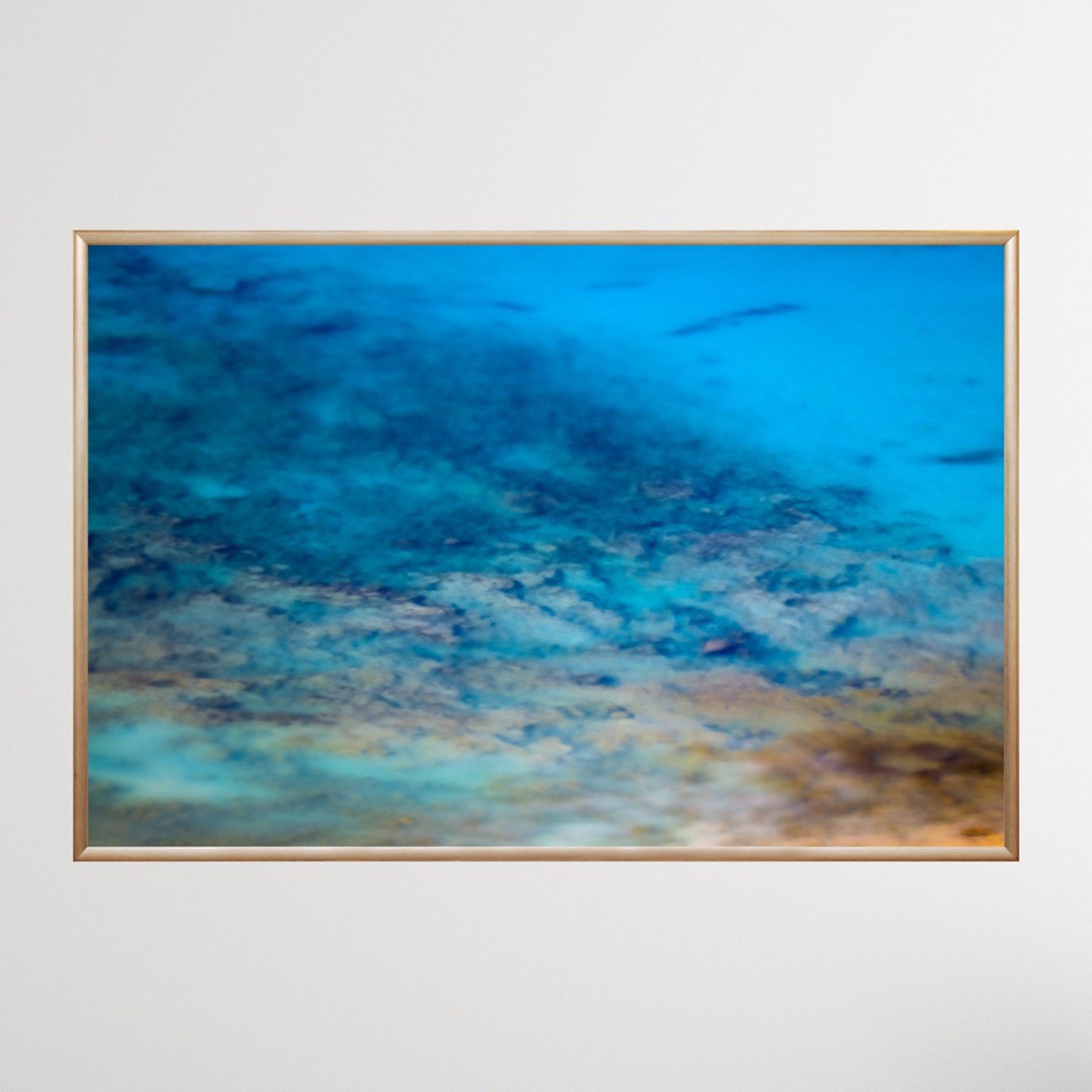 Bahamian Reef, the Cove Atlantis, Bahamas, Paradise Island, Canvas Wall ...