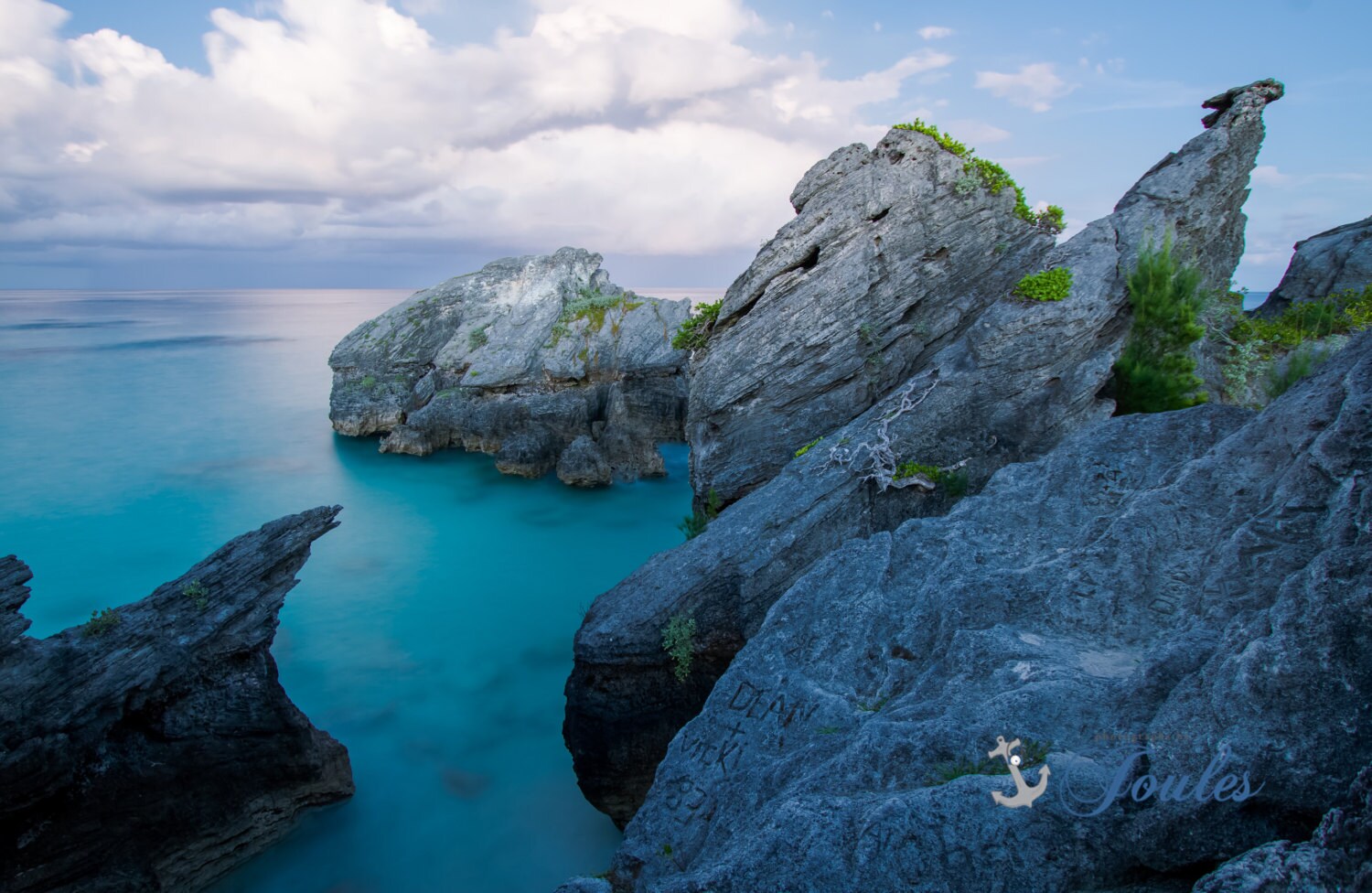 Bermuda Landscape Warwick Parish Bermuda Limestone | Etsy