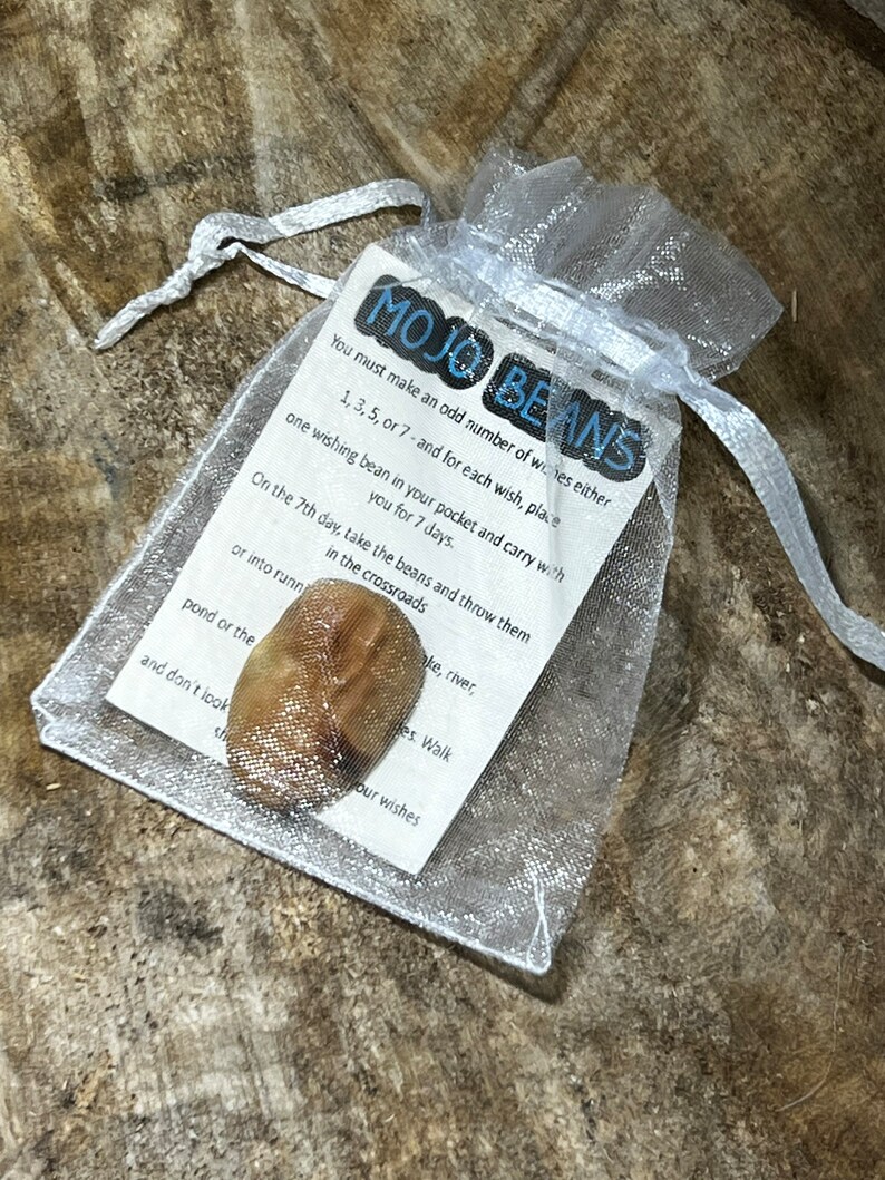 Mojo Bean for Luck and Wishes in Organza Bag With How to Card - Etsy