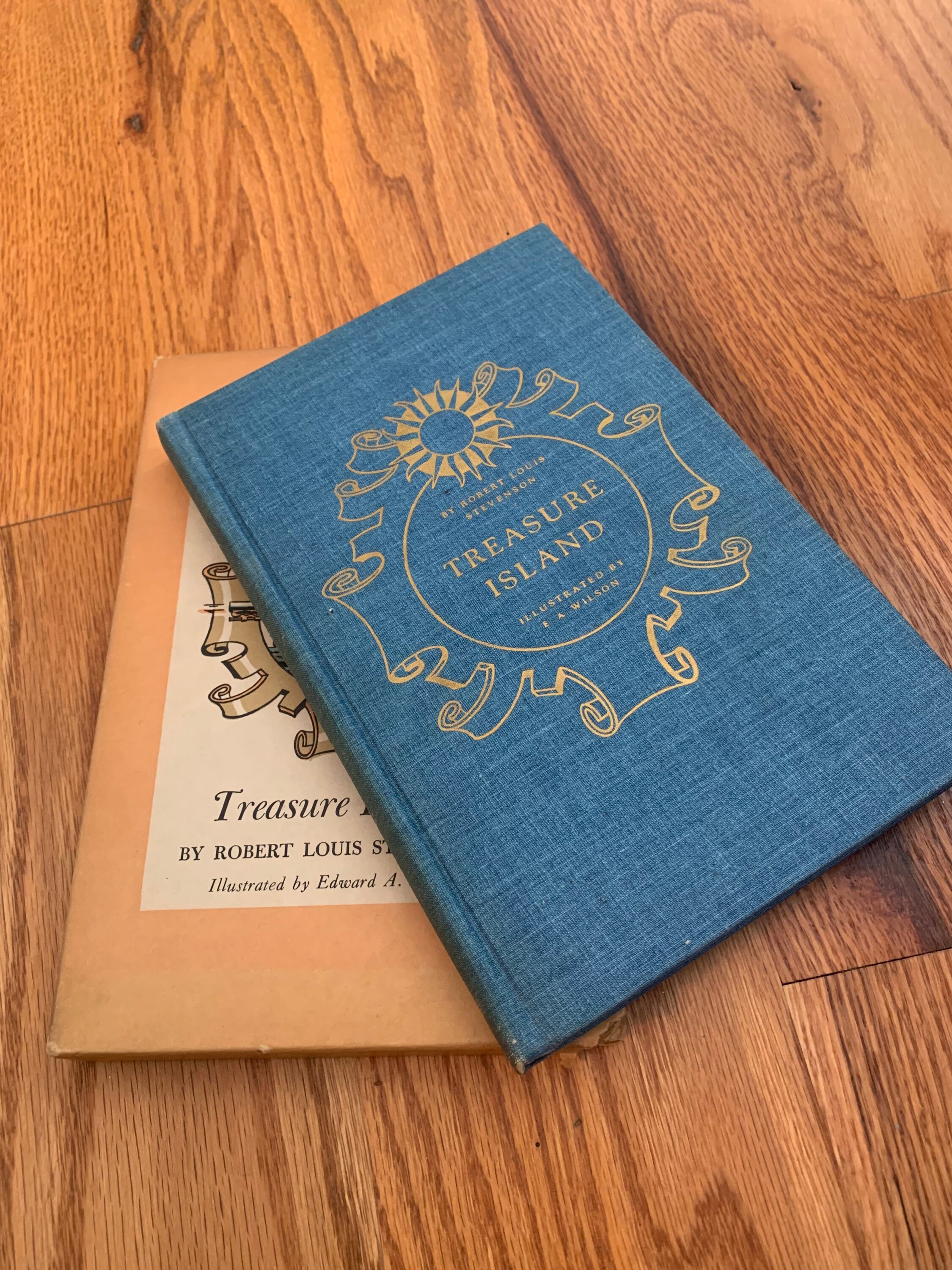 Treasure Island Book Robert Louis Stevenson Illustrated - Etsy