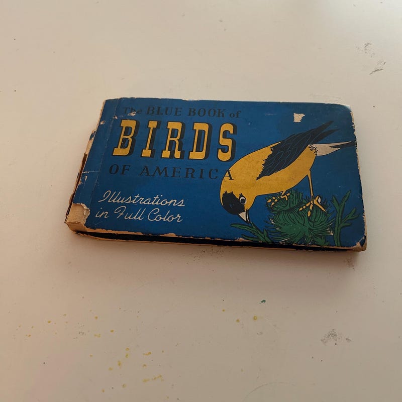 Vintage Bird Book - Etsy