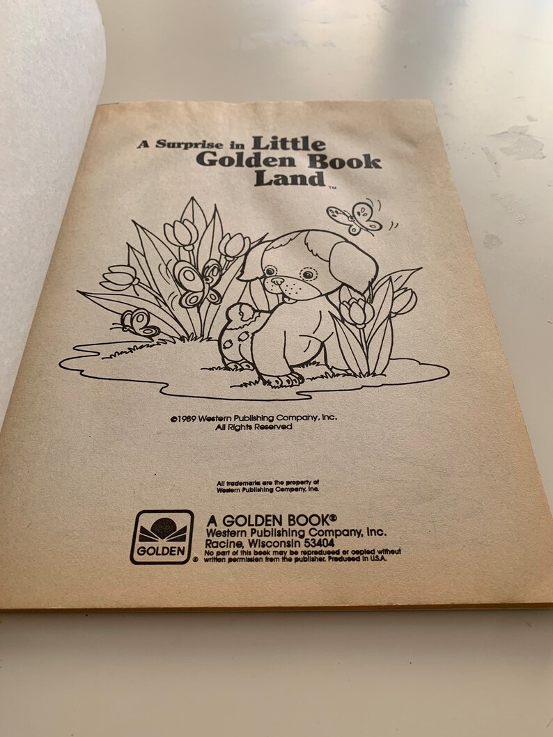 Vintage Little Golden Book Big Coloring Book; Surprise in LGB Land ...
