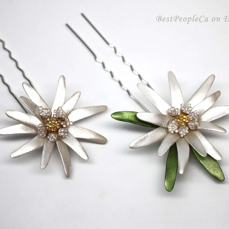 Edelweiss Flowers - Etsy