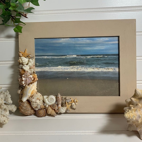 Shell Picture Frame - Etsy