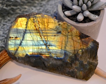 Rock collectors | Etsy