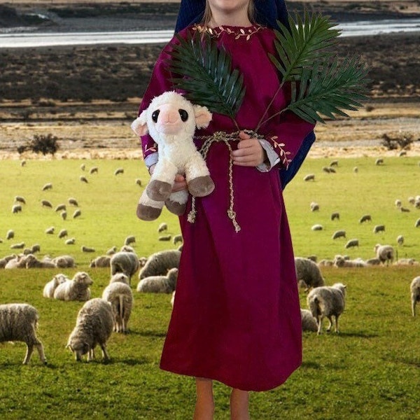 St Lucy Costume - Etsy