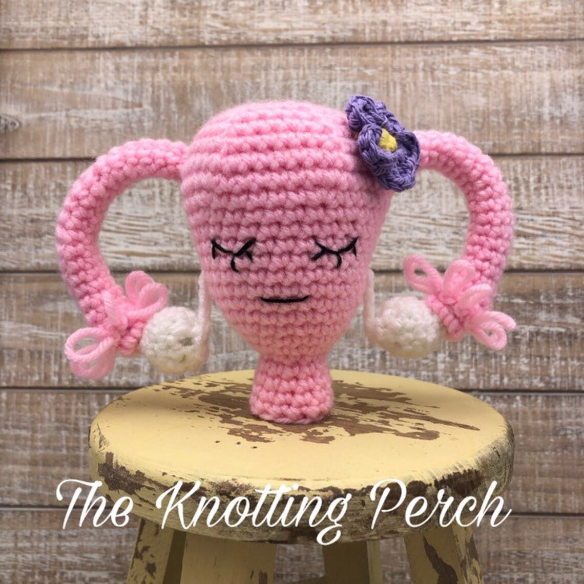 Uterus Crochet Uterus With Flower Plushie Stuffy Gift for - Etsy