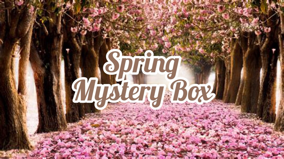 Spring Mystery Box Mystery Box Box of Spring Items Grab Bag Spring ...
