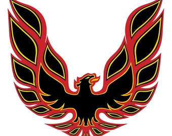 Trans Am Decal | Etsy