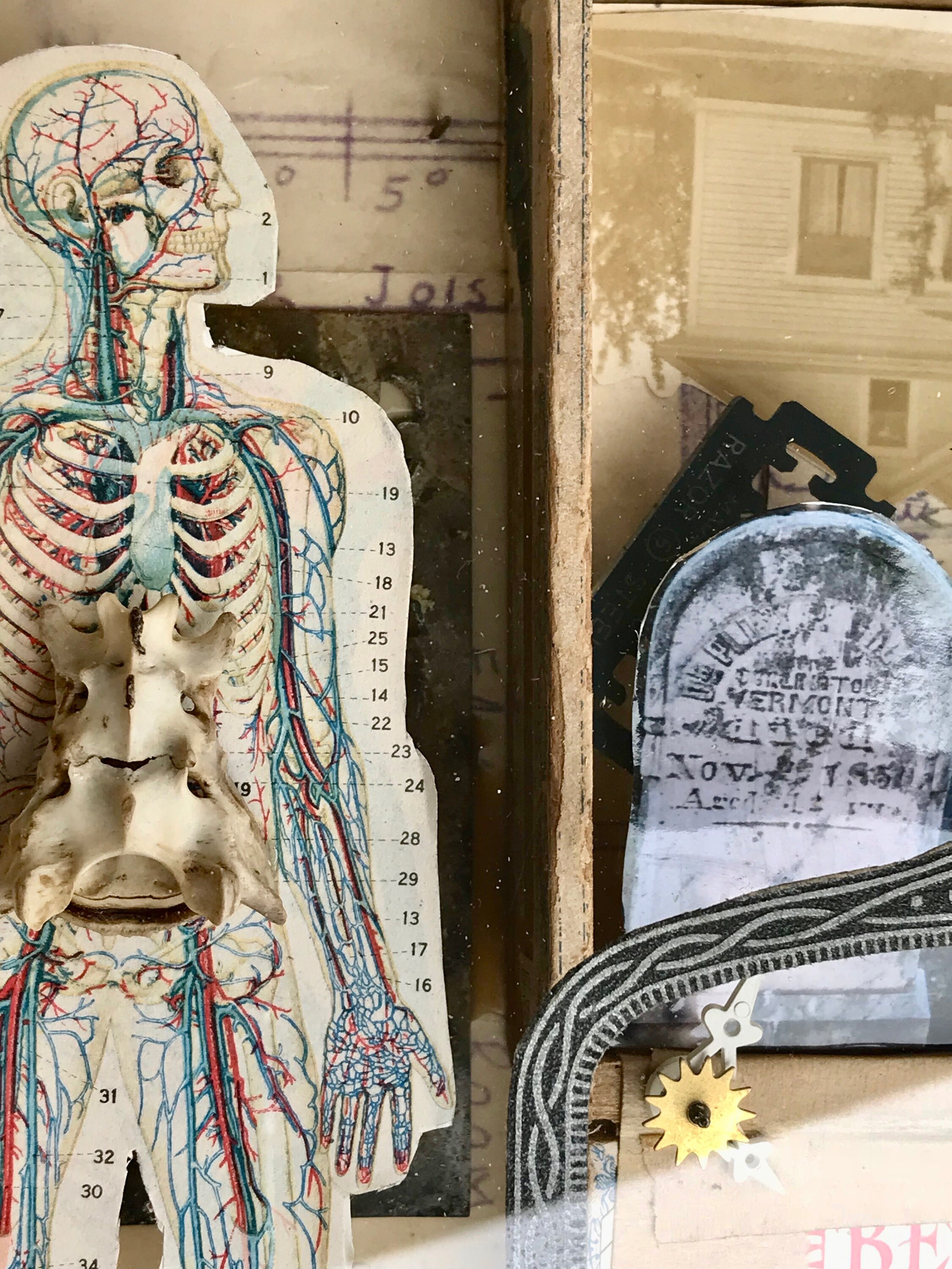 The Blink of an Eye BEAUTY Assemblage Art Shadowbox LIFE'S RAVAGES ...