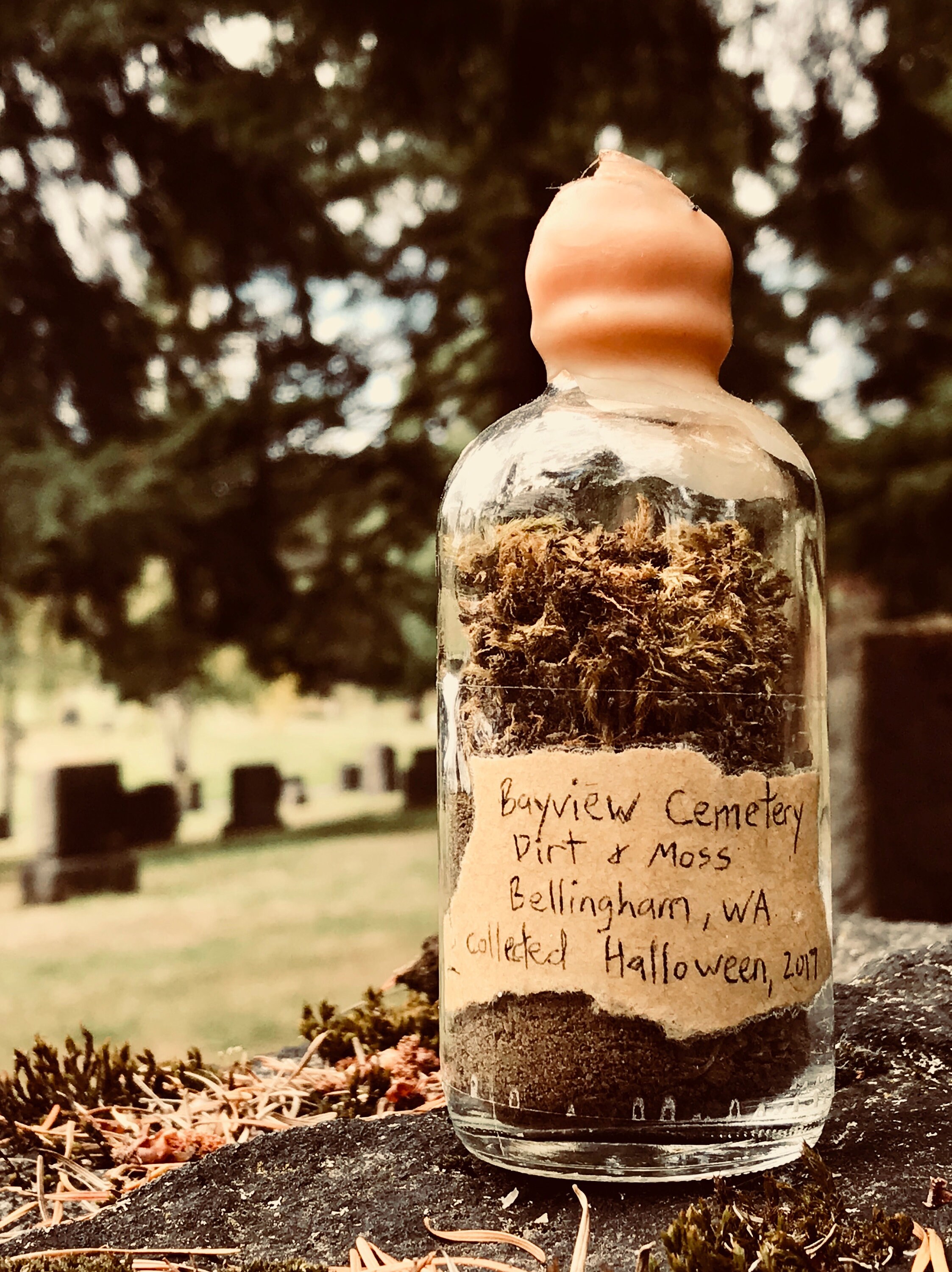 CEMETERY DIRT & MOSS - Bayview Cemetery - Apothecary Cabinet - Wicca ...