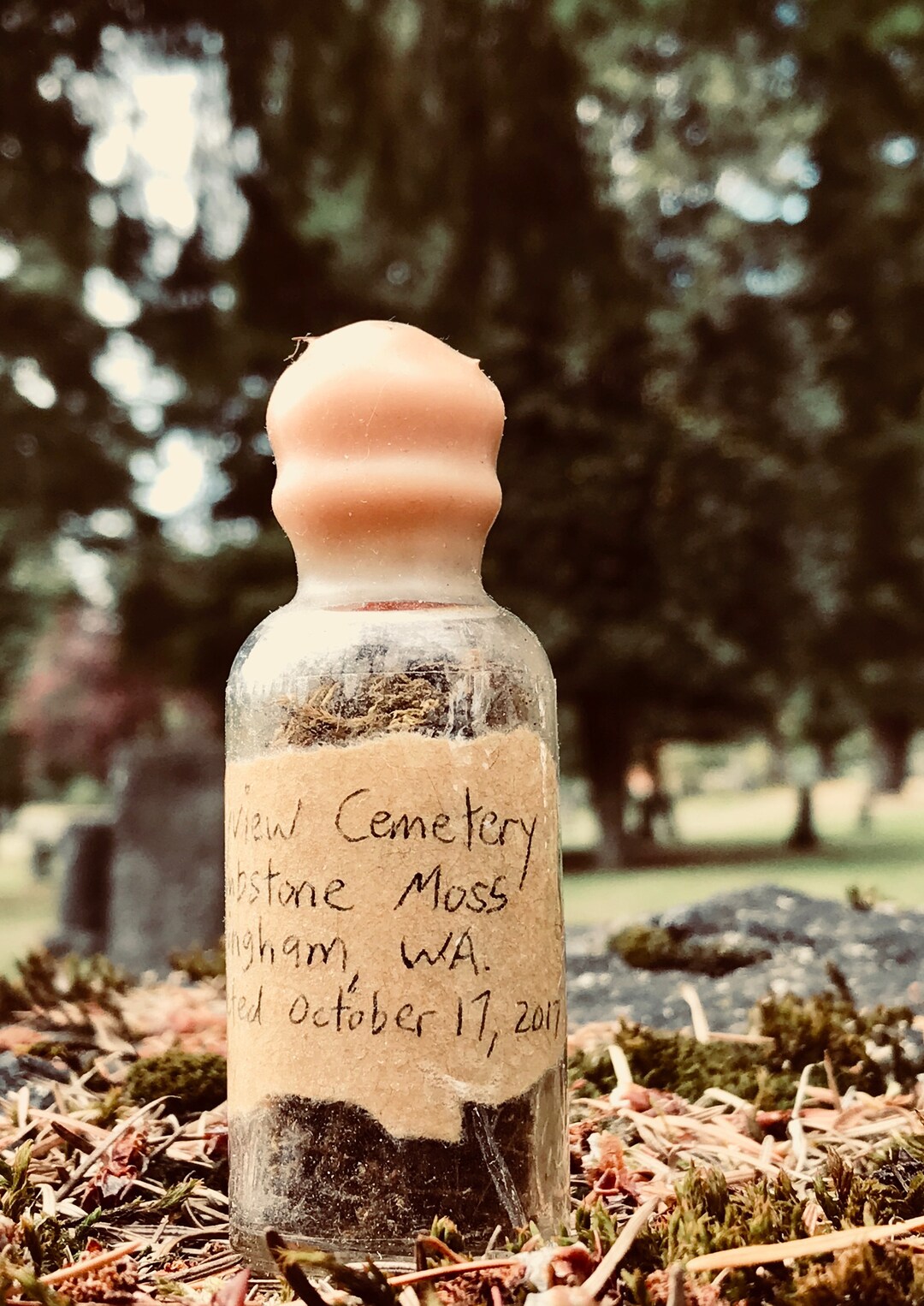 TOMBSTONE MOSS SCRAPINGS Apothecary Cabinet Bayview Cemetery Authentic ...