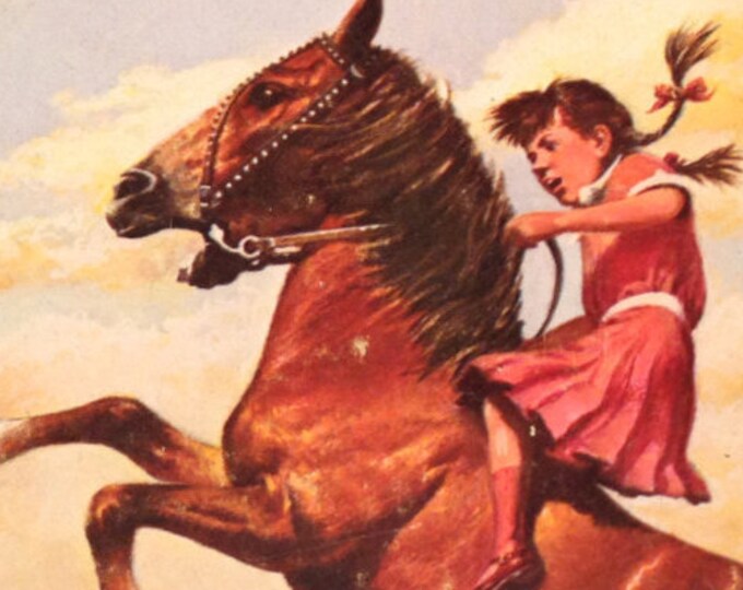 Prairie Princess by Margaret Epp ~ 1960s Christian Story for Girls ...