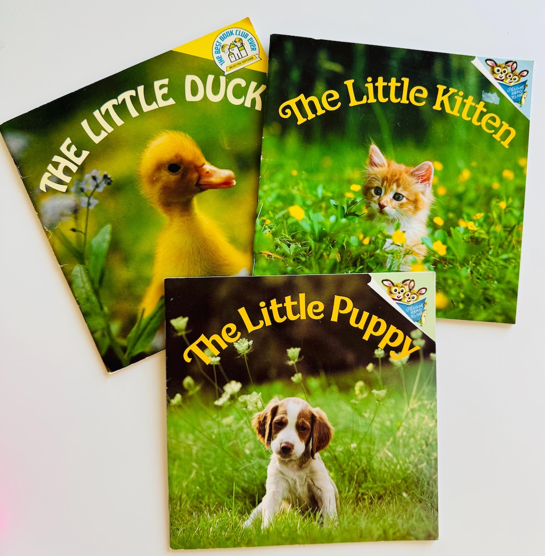 Three Animal Photography Children's Books by Phoebe Dunn ~ the Little ...