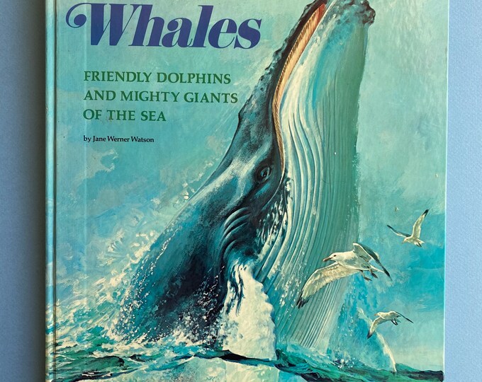 Collectible Whales: Friendly Dolphins and Mighty Giants of the Sea ...