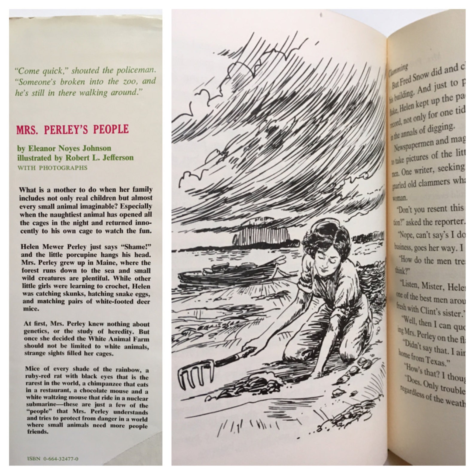 Mrs. Perley's People by Eleanor Noyes Johnson True Story | Etsy