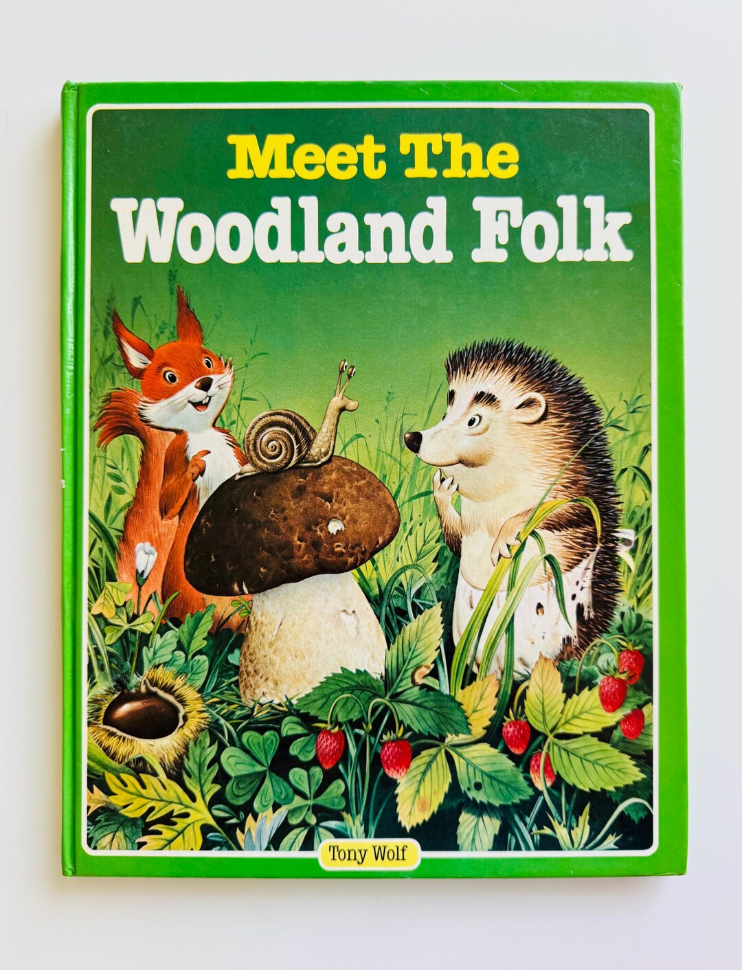 Meet the Woodland Folk by Tony Wolf ~ Learn All About Hedgehog's World ...