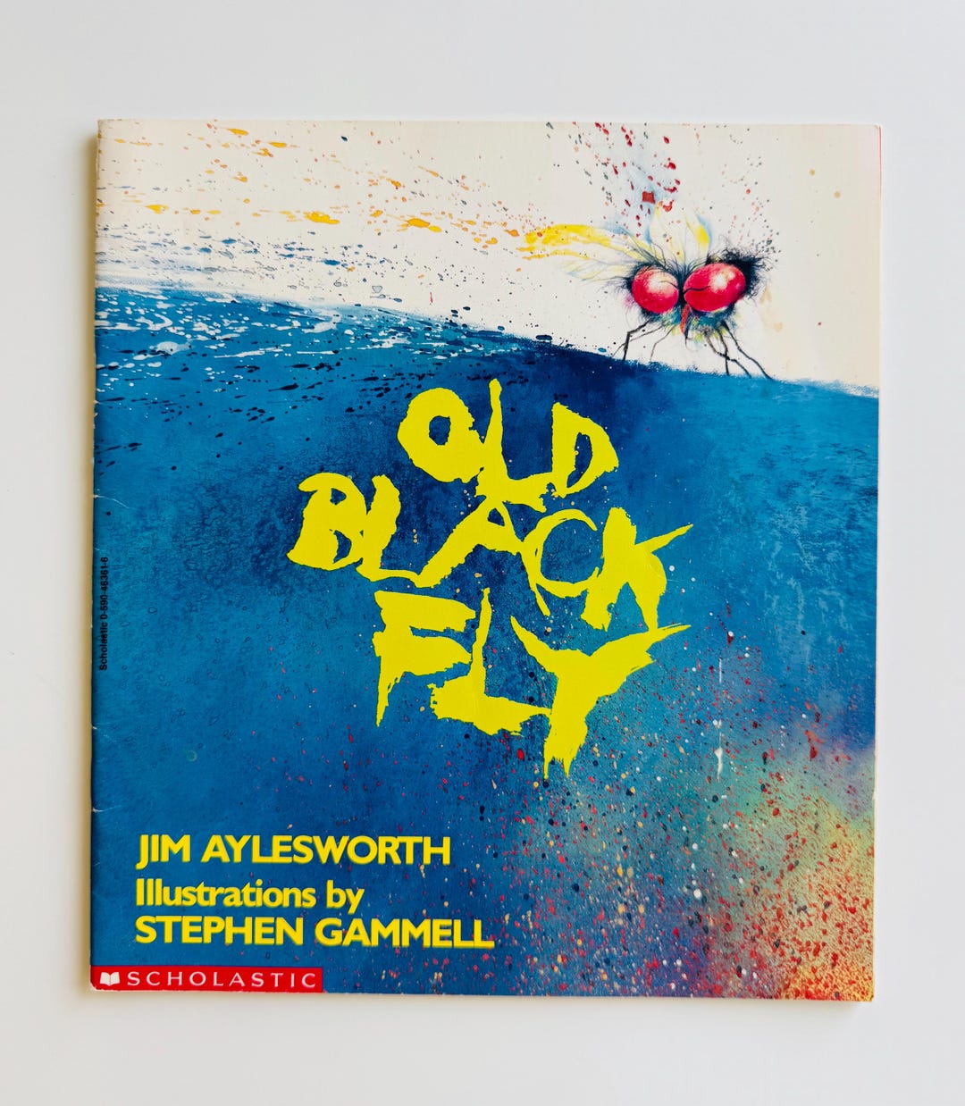 Old Black Fly Book: 1993 Scholastic Edition, Jim Aylesworth - Etsy