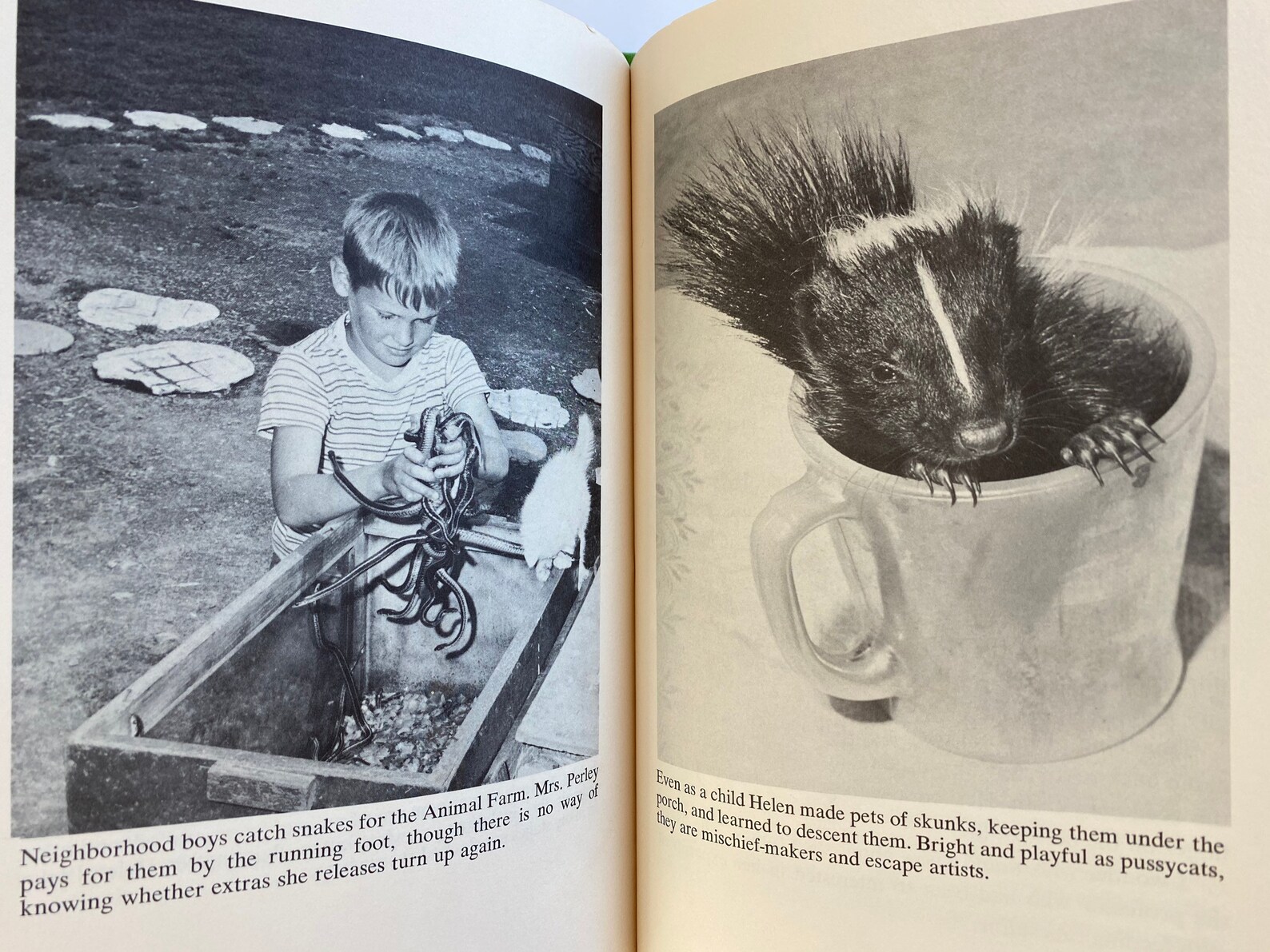 Mrs. Perley's People by Eleanor Noyes Johnson True Story | Etsy