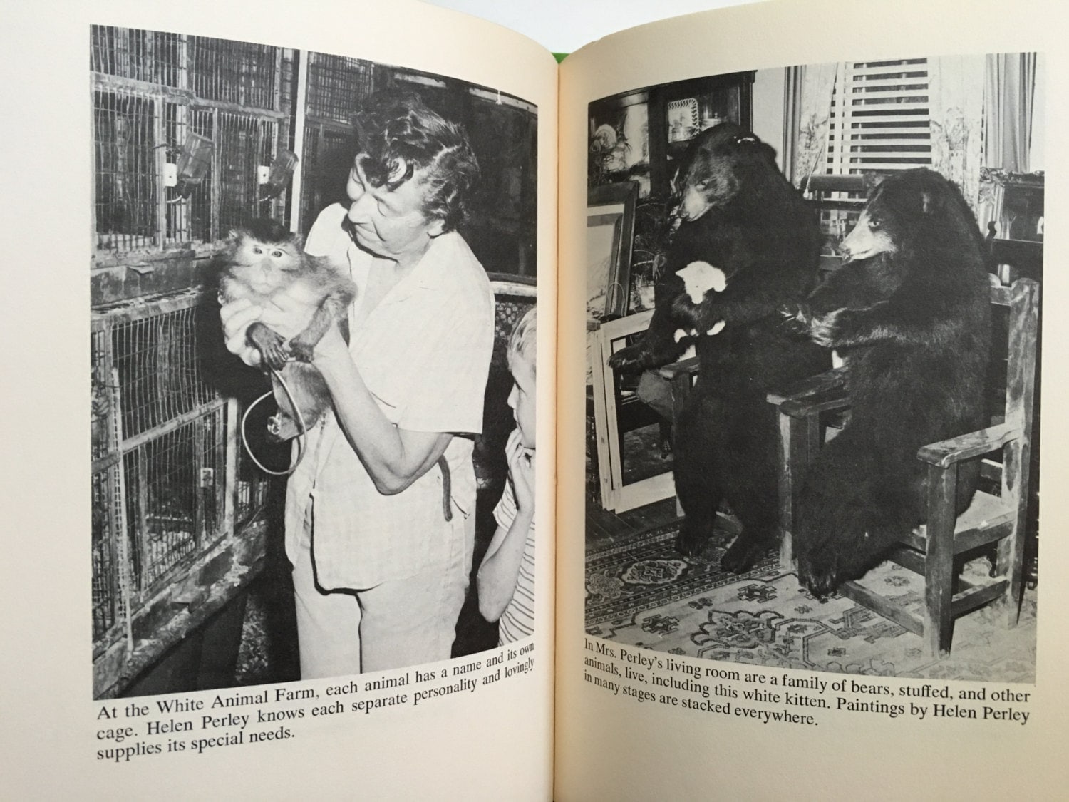 Mrs. Perley's People by Eleanor Noyes Johnson True Story | Etsy