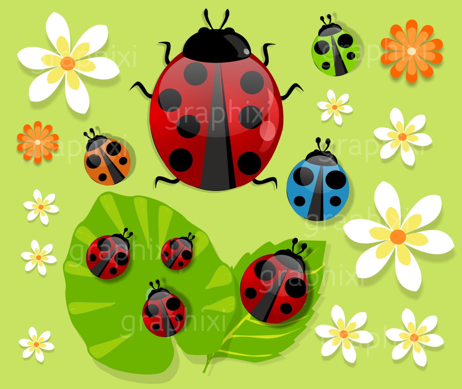 Clip Art Ladybug,digital Image Ladybug, Lady Bug,commercial Use ...