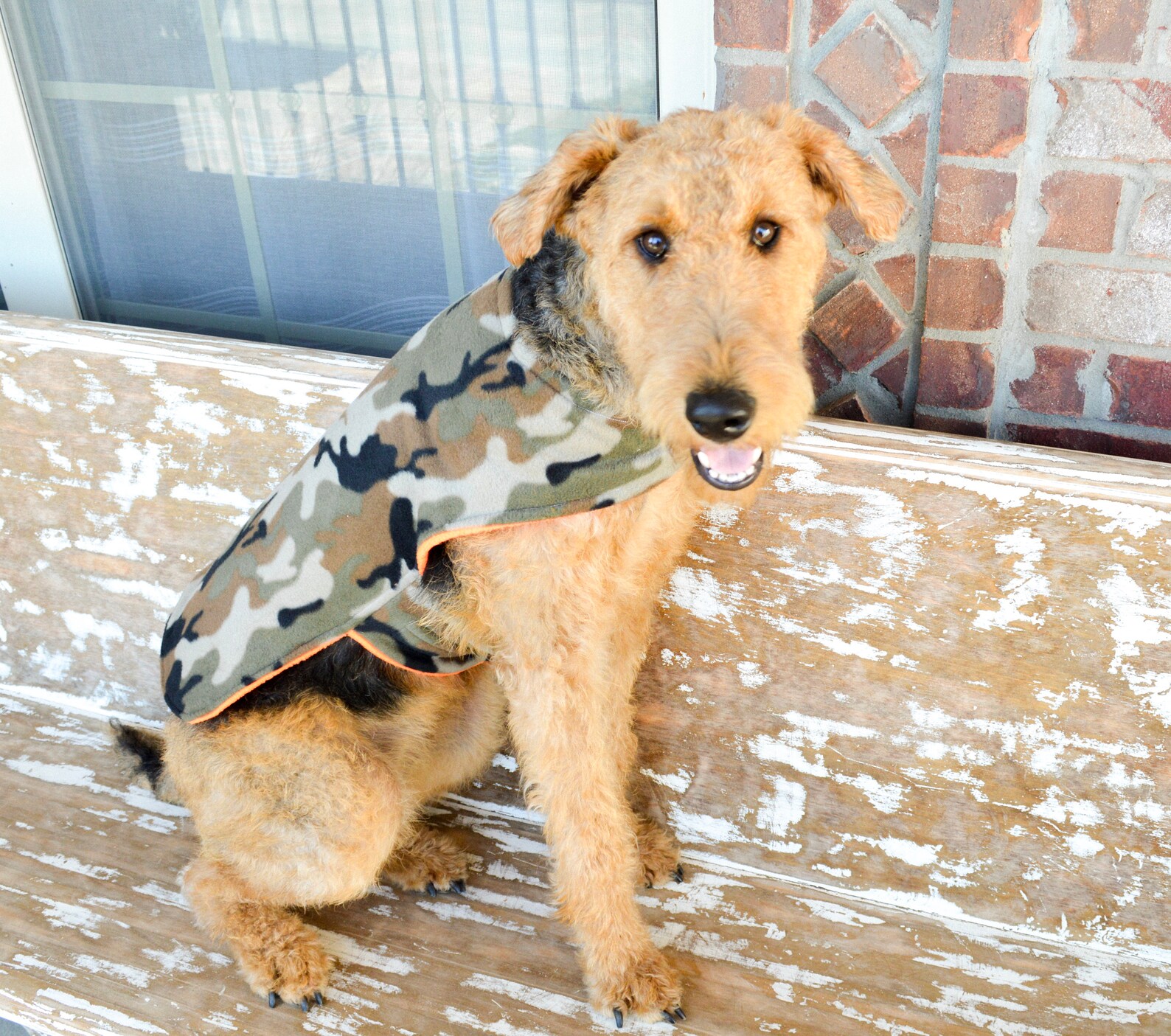 Camouflage Dog Coat - Etsy