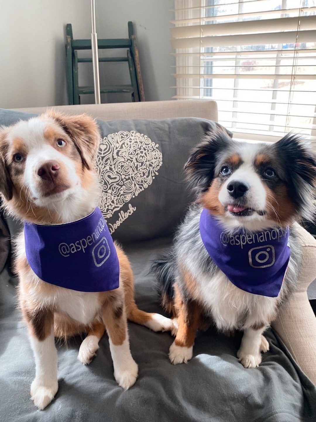 Custom Insta Handle Bandana/adjustable/over-the-collar - Etsy