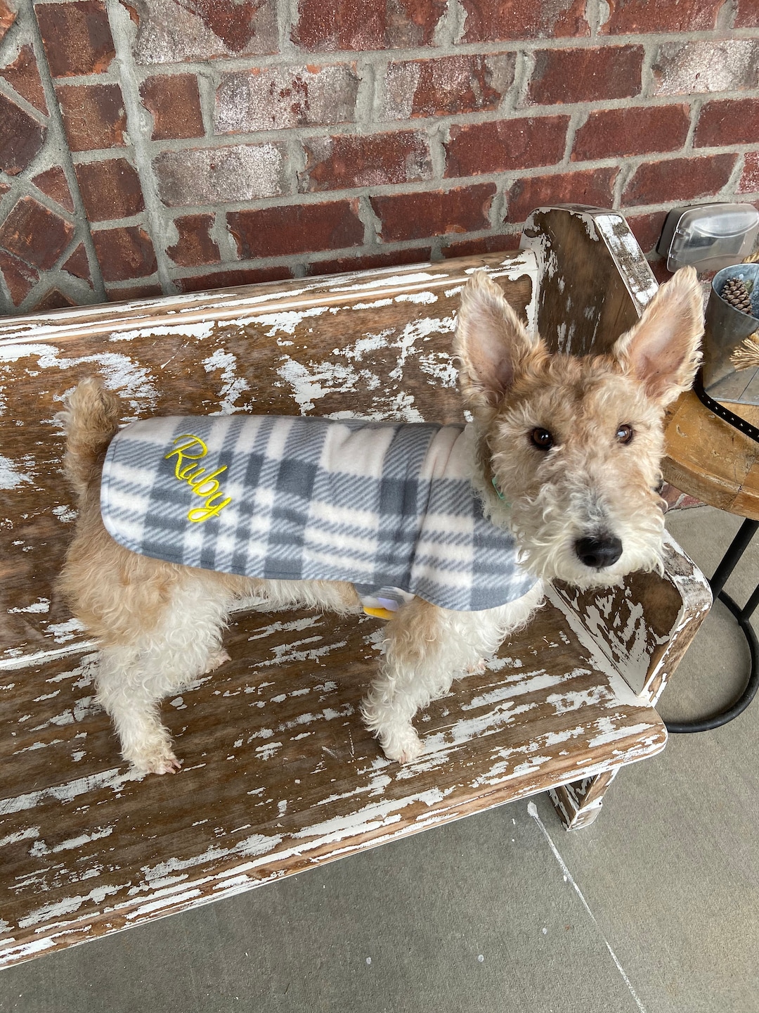 Monogrammed Custom Dog Coat/ Machine Washable/ Adjustable/ Fleece - Etsy