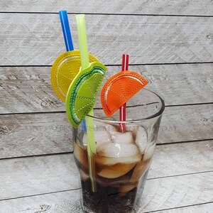 Citrus Wedge Straw Hugger Pencil Headband Slip on Machine Embroidery ...