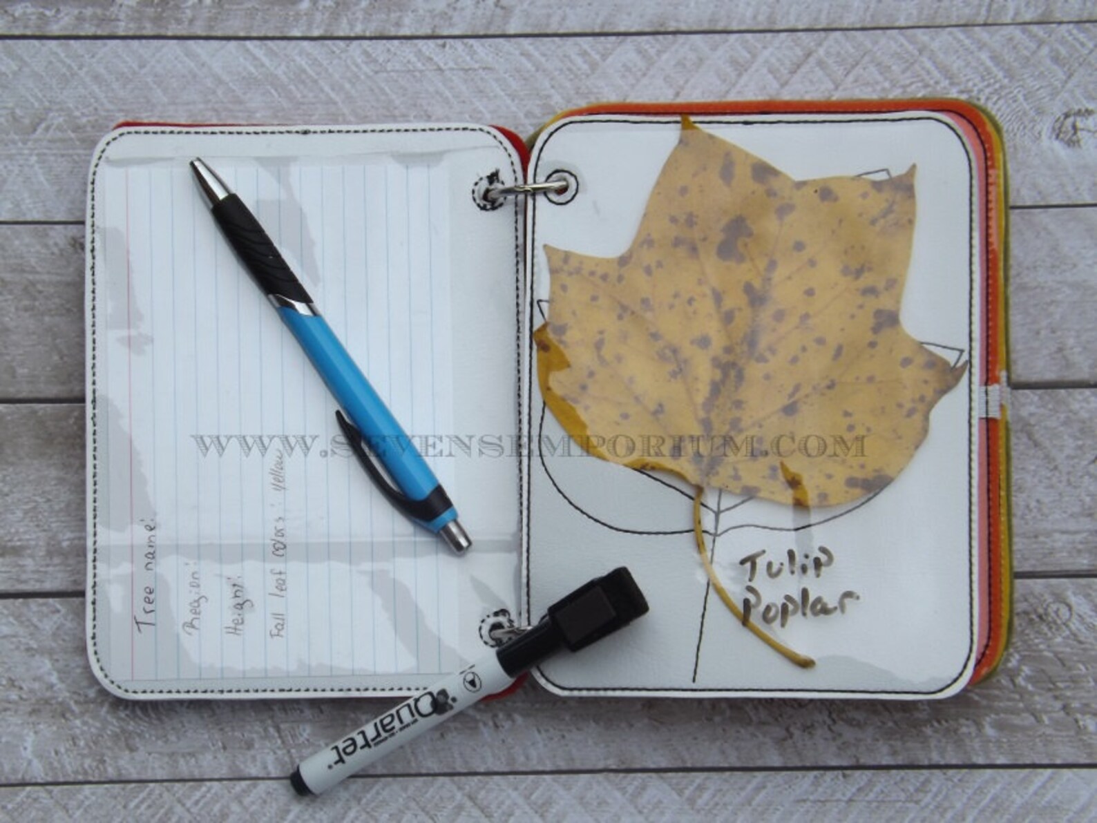 Leaf Collecting Page in the Hoop Machine Embroidery Design SET - Etsy