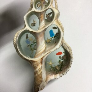 Large Cut Shell With Resin and Seashells, Hanging Wall Art - Etsy