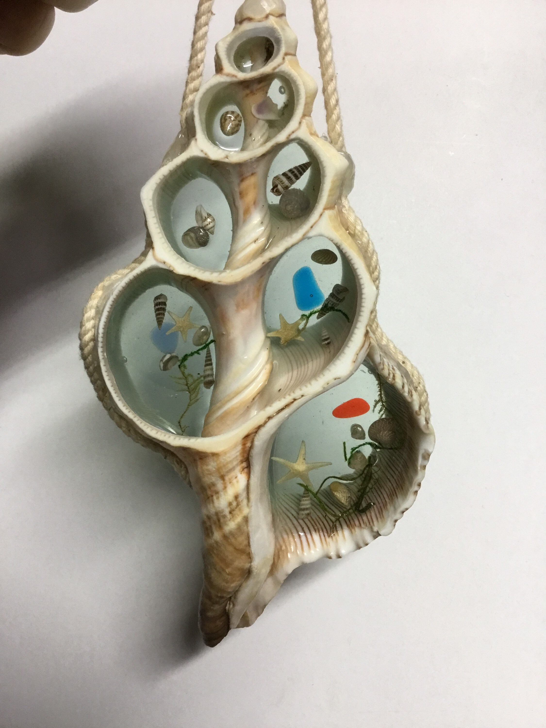 Large Cut Shell With Resin and Seashells, Hanging Wall Art - Etsy