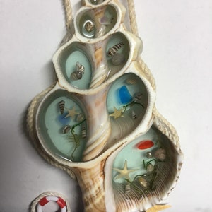 Large Cut Shell With Resin and Seashells, Hanging Wall Art - Etsy