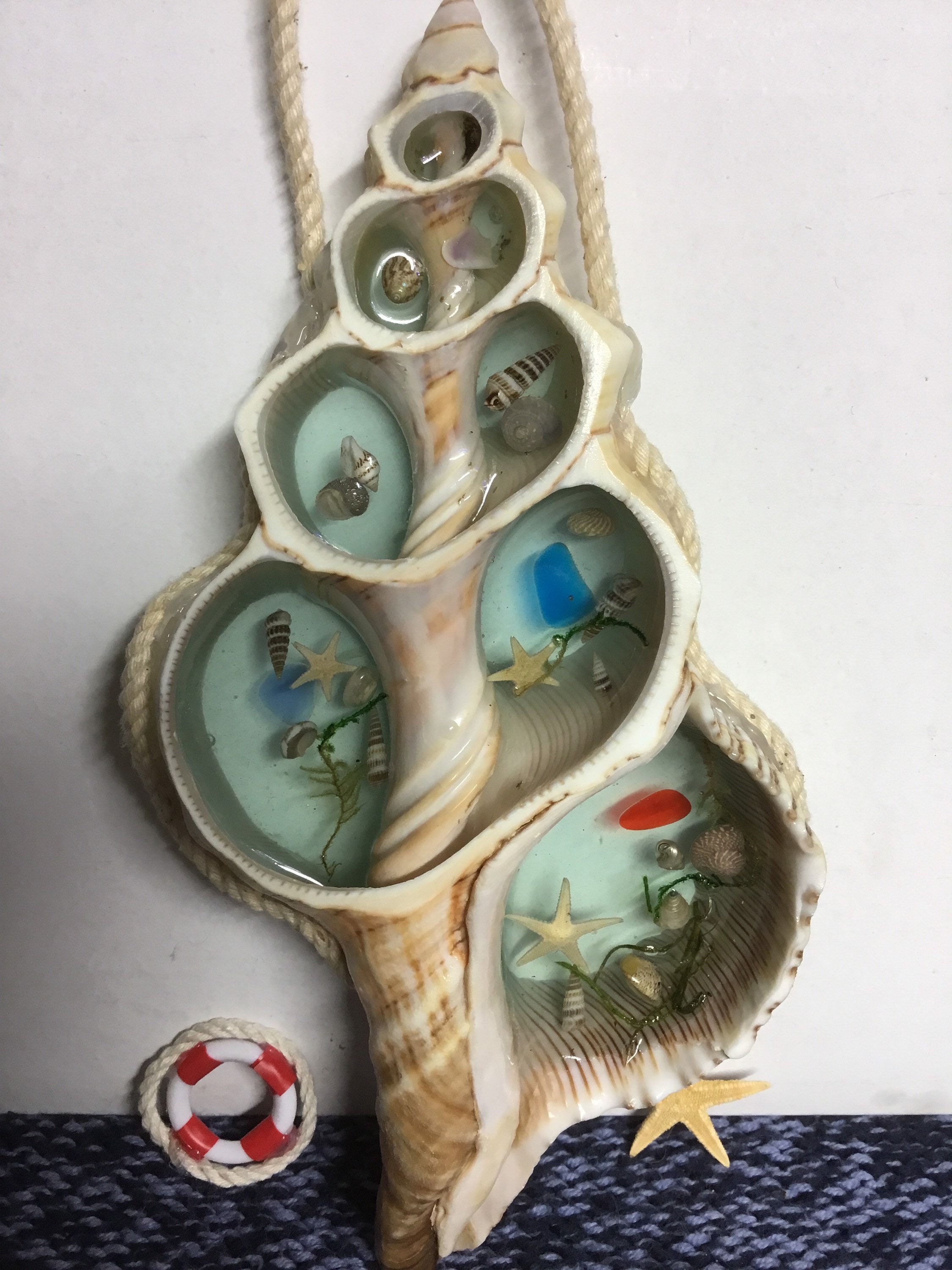 Large Cut Shell With Resin and Seashells, Hanging Wall Art - Etsy