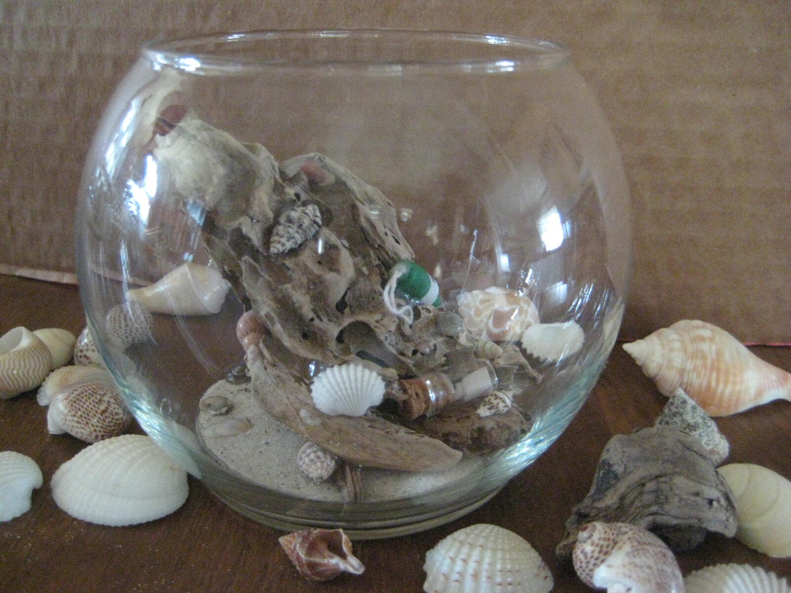 Glass Jar With Shells Beach Glasscoraldriftwoodbeach in a - Etsy