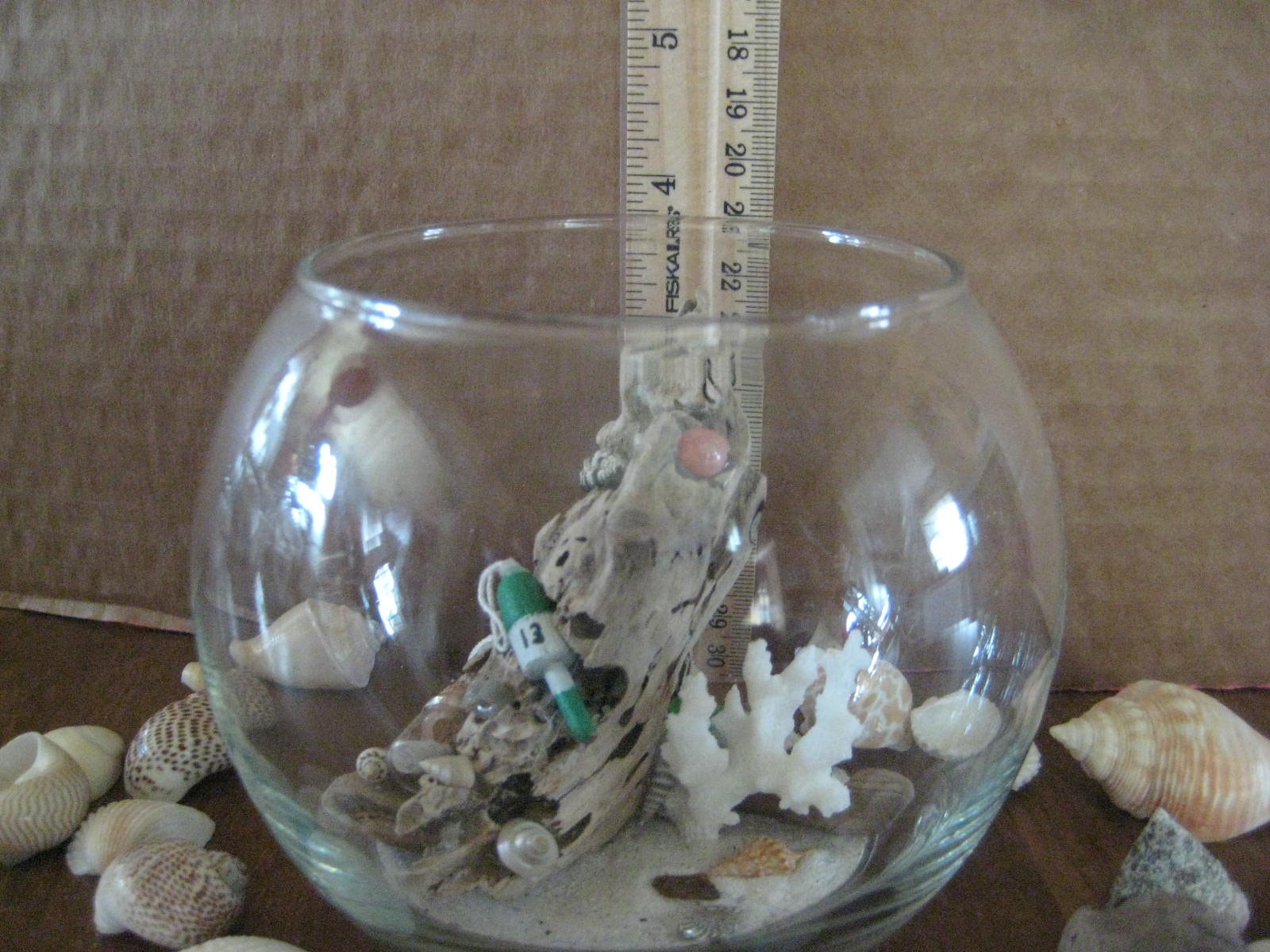 Glass Jar With Shells Beach Glasscoraldriftwoodbeach in a - Etsy