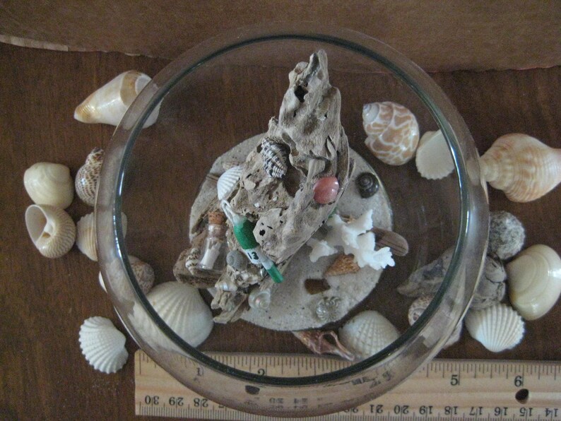 Glass Jar With Shells Beach Glasscoraldriftwoodbeach in a - Etsy