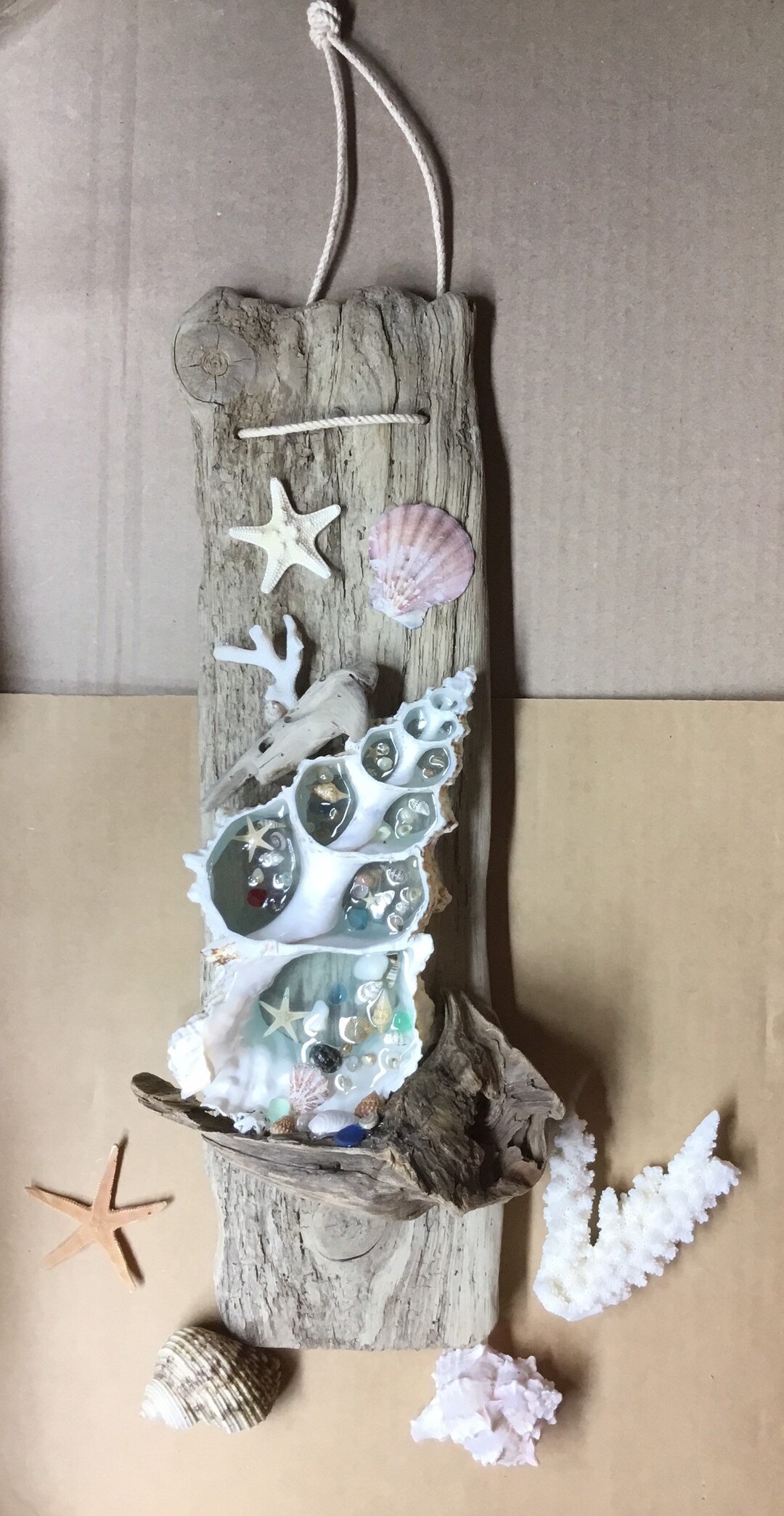 Large Sliced Shell With Resin and Seashells, Coral, Driftwood Hanging ...