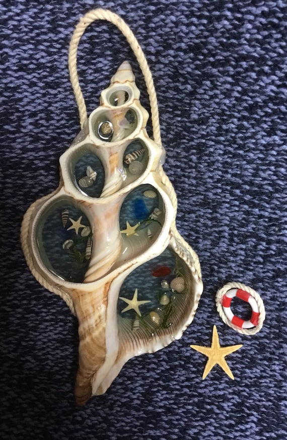 Large Cut Shell With Resin and Seashells Hanging Wall Art - Etsy