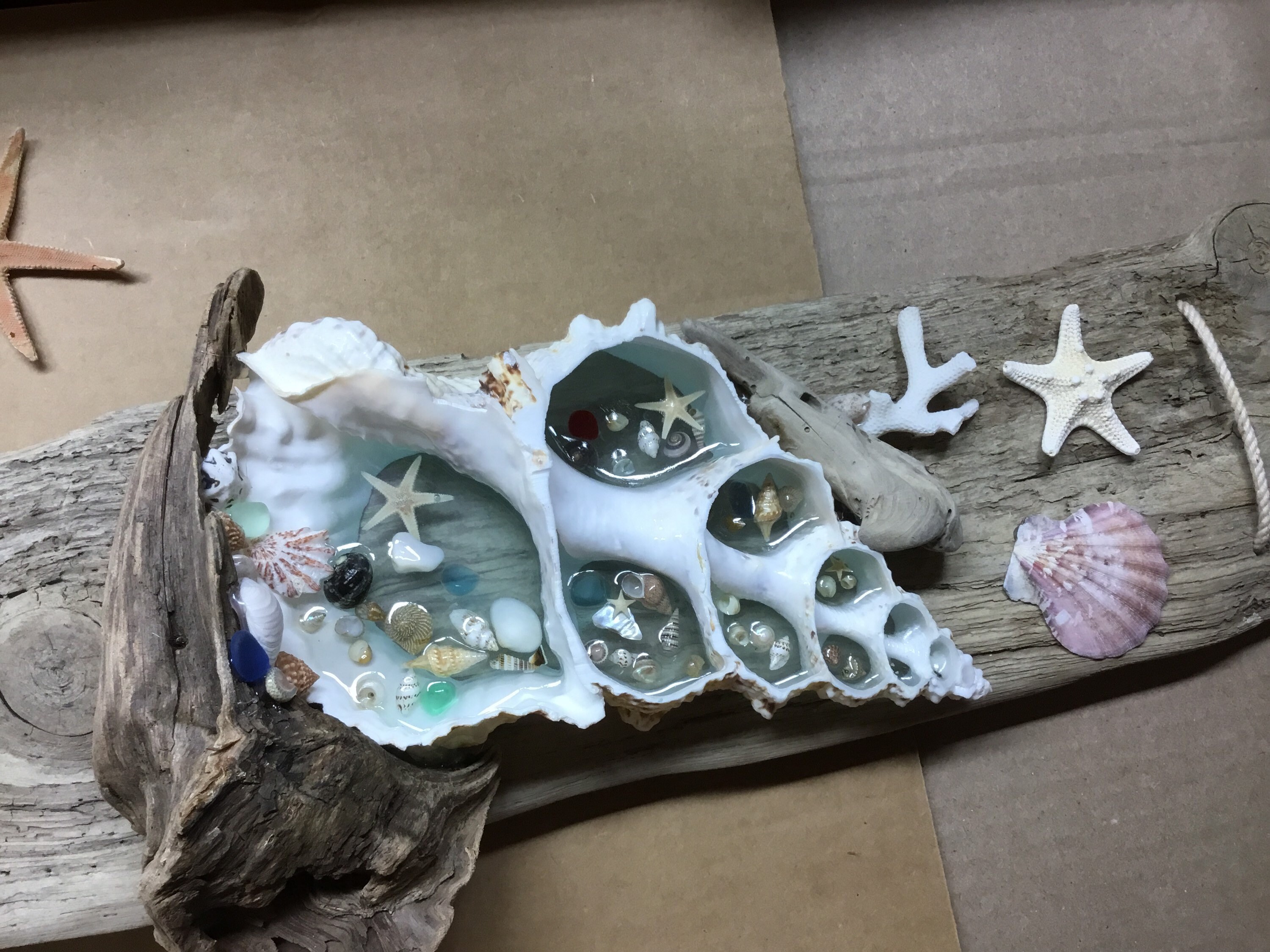 Large Sliced Shell With Resin and Seashells, Coral, Driftwood Hanging ...