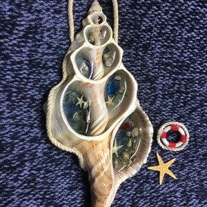 Large Cut Shell With Resin and Seashells, Hanging Wall Art - Etsy