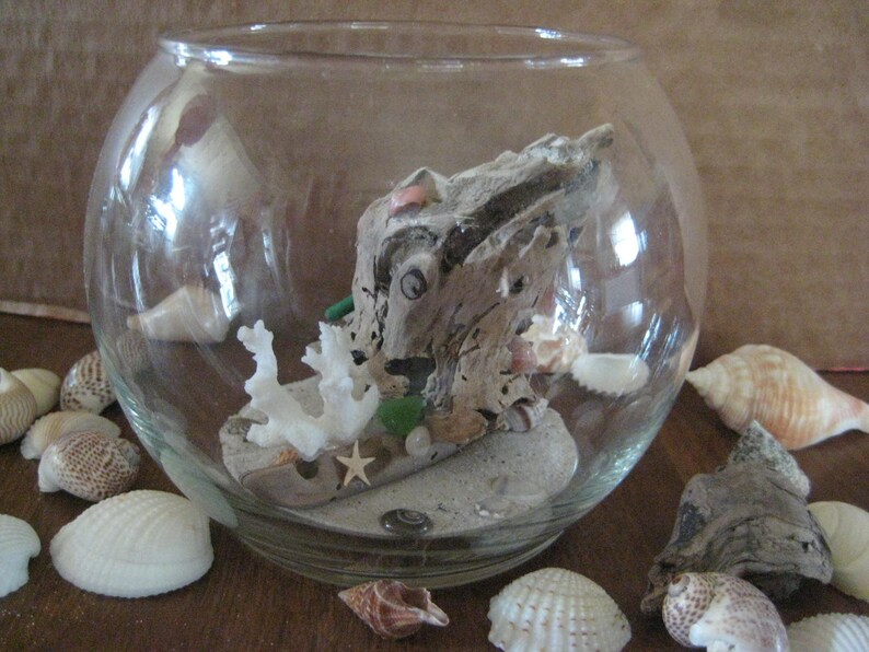 Glass Jar With Shells, Beach Glass,coral,driftwood,beach in a Jar ...
