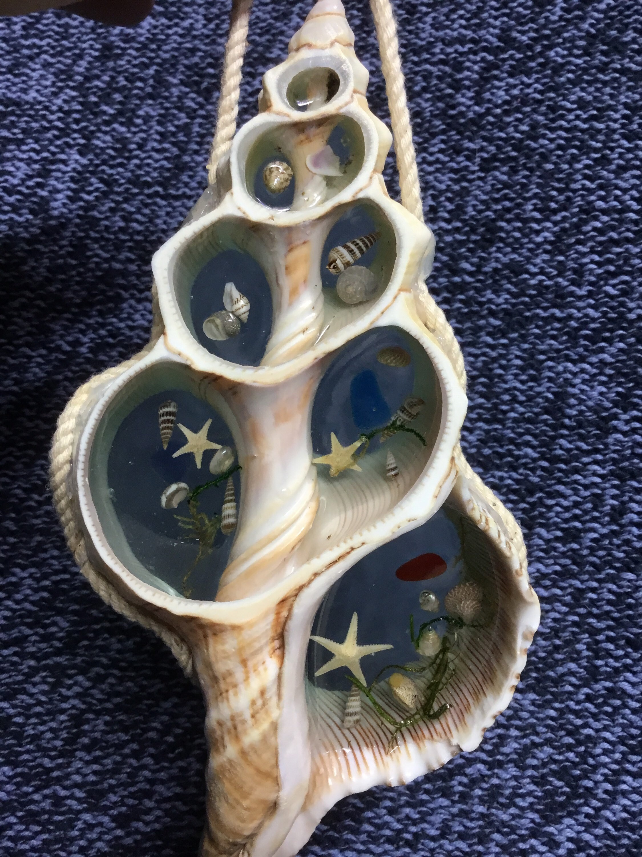 Large Cut Shell With Resin and Seashells, Hanging Wall Art - Etsy