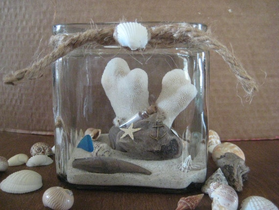 Glass Jar With Shells Beach Glasscoraldriftwoodbeach in a | Etsy