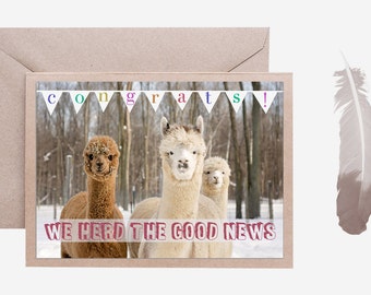 Alpaca card | Etsy